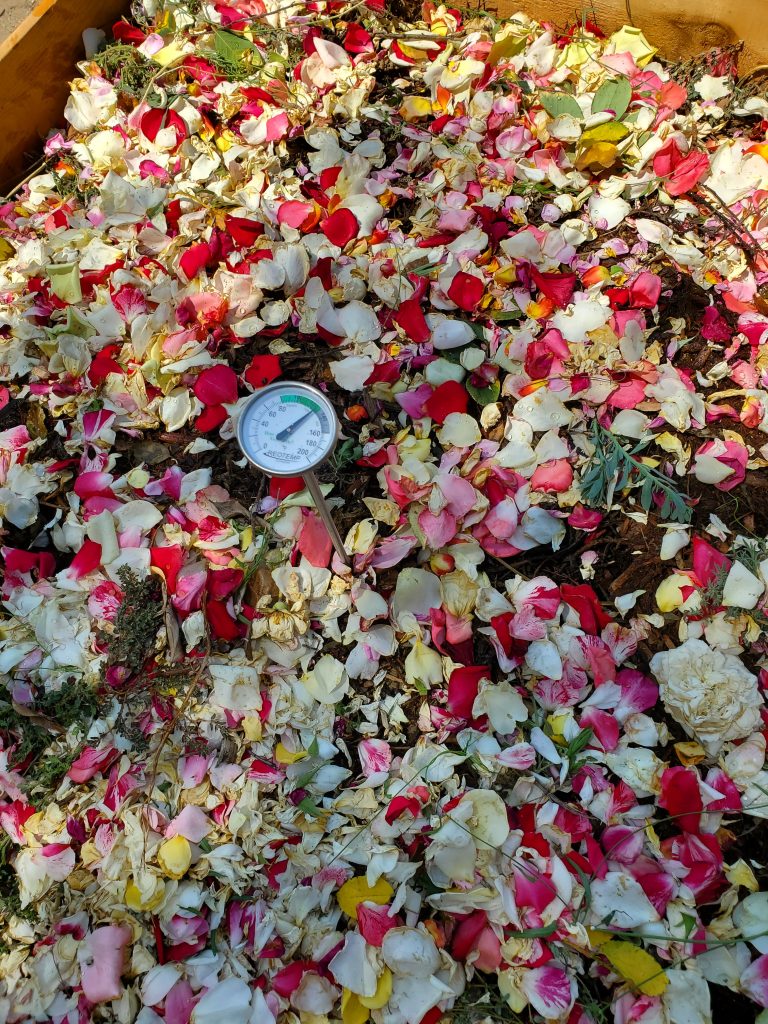 March 2022 Newsletter – Temecula Valley Rose Society